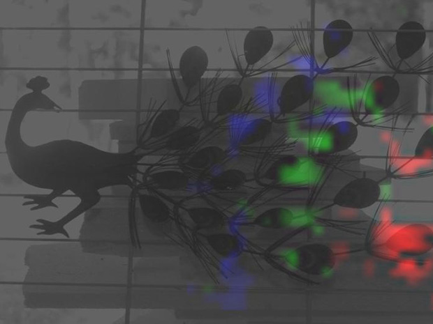 Microwave camera that can see through the wall | Innovation Essence