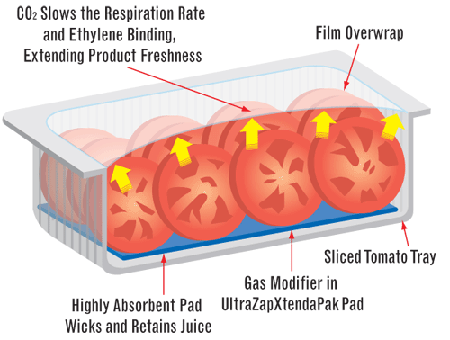 Food Preservation Through Packaging Innovation | Innovation Essence