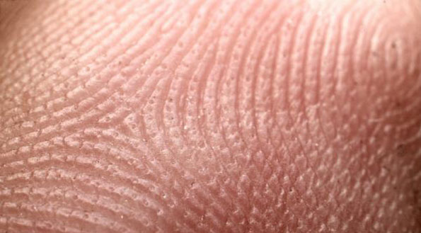 Artificial human skin created in lab | Innovation Essence