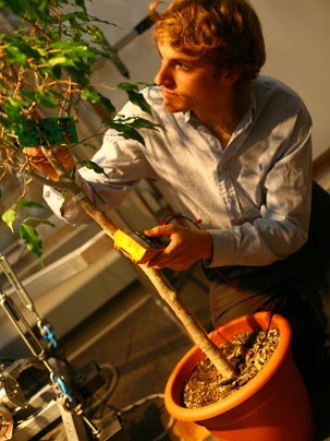 MIT – Preventing forest fires with tree power | Innovation Essence