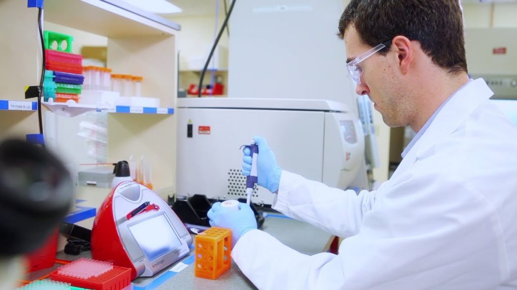 Thermo Fisher Scientific Custom Cell Engineering Service | Innovation ...