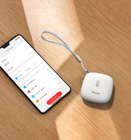 'Govee' - WiFi Temperature Humidity Monitor Wireless Digital Hygrometer ...