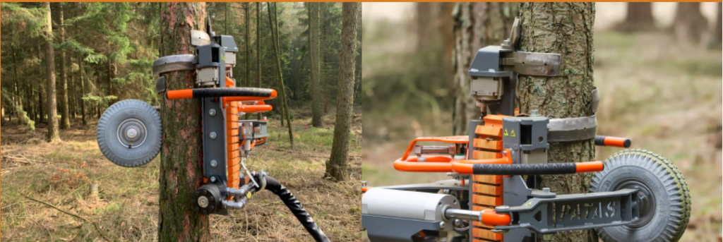 'Advaligno' - mechanical delimbing of live trees to produce high-grade ...