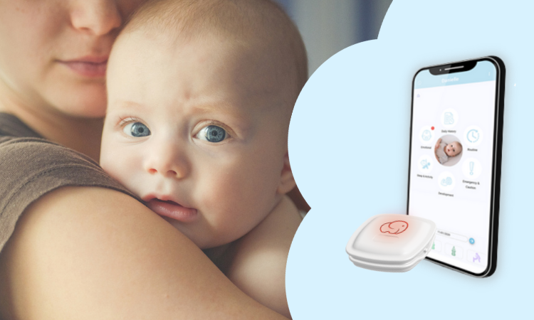 LittleOne.Care has developed an artificial intelligence system that ...