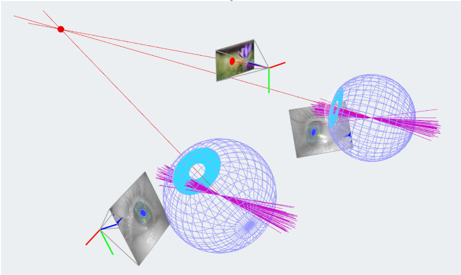 Pupil-labs' - deep learning powered eye tracking glasses to help gain ...