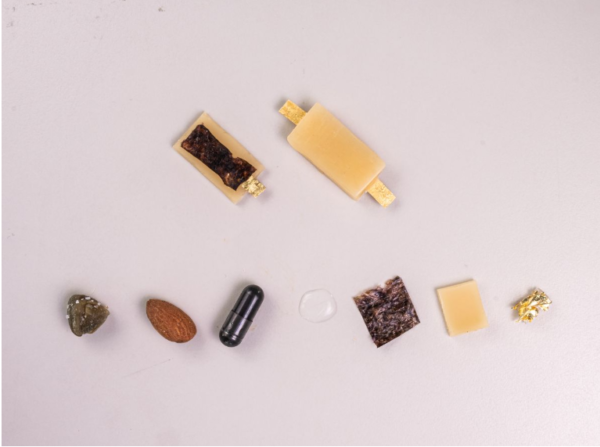 Italian Institute of technology has developed edible battery ...