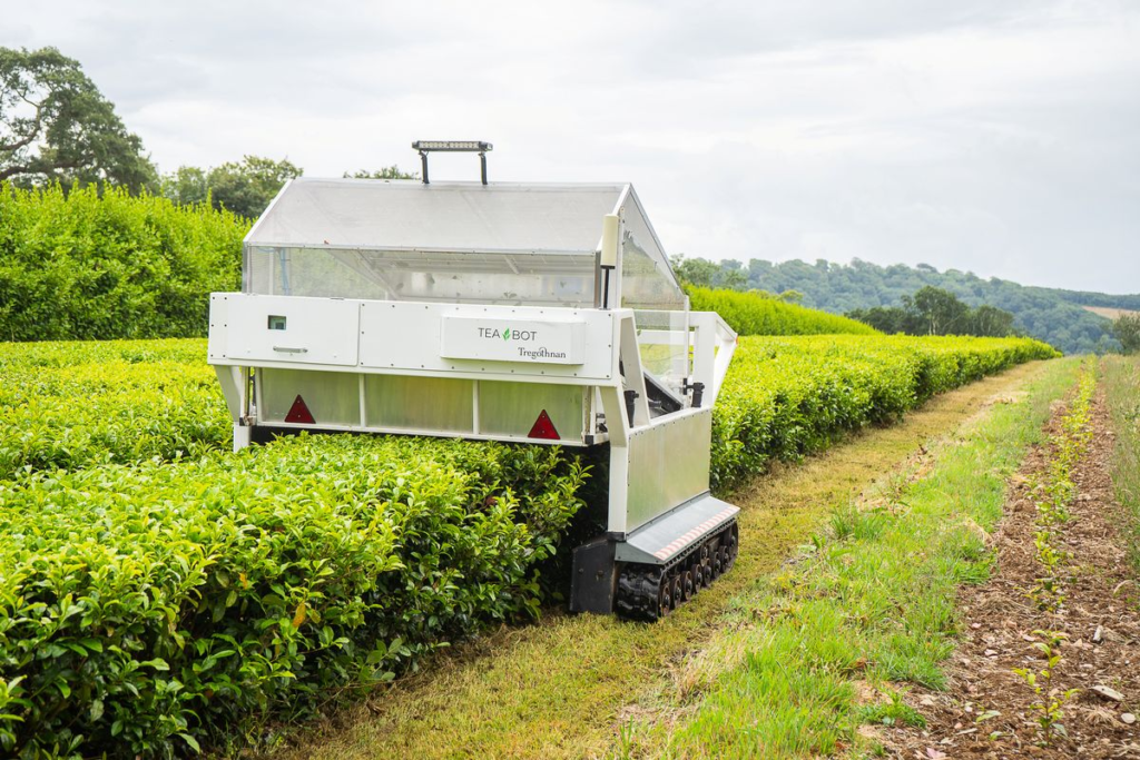 ‘Teabot’ – robotic tea harvester | Innovation Essence
