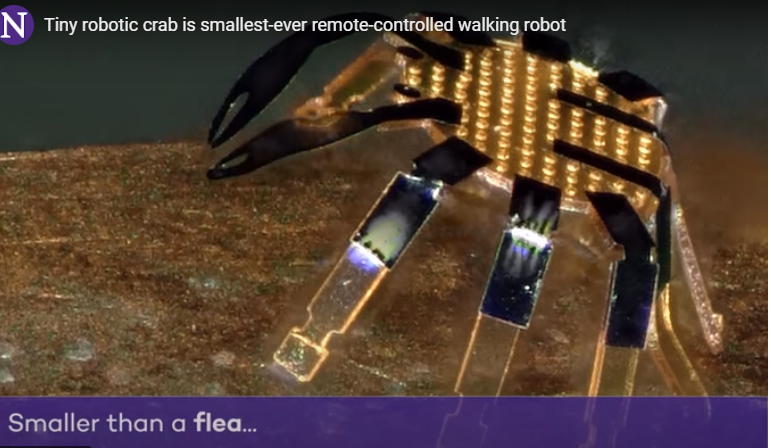 Northwestern University engineers have developed Tiny robotic crab that ...