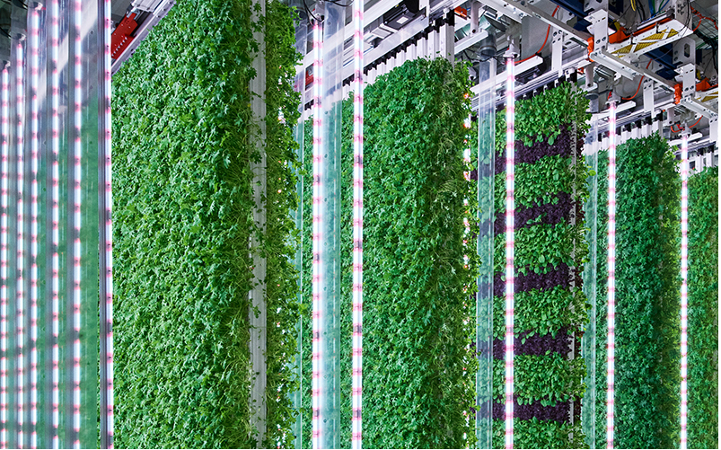 ‘plenty.ag’ – indoor vertical farms | Innovation Essence