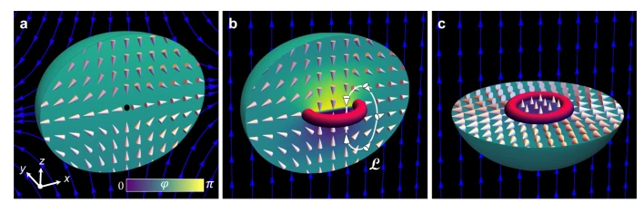 Aalto University in Finland and Amherst College in Massachusetts ...