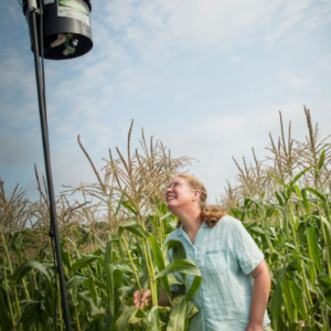 Innovation Essence – Tomorrow's Knowledge