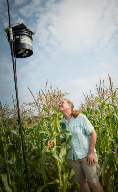 Researchers at University of Florida and University of Rhode Island ...